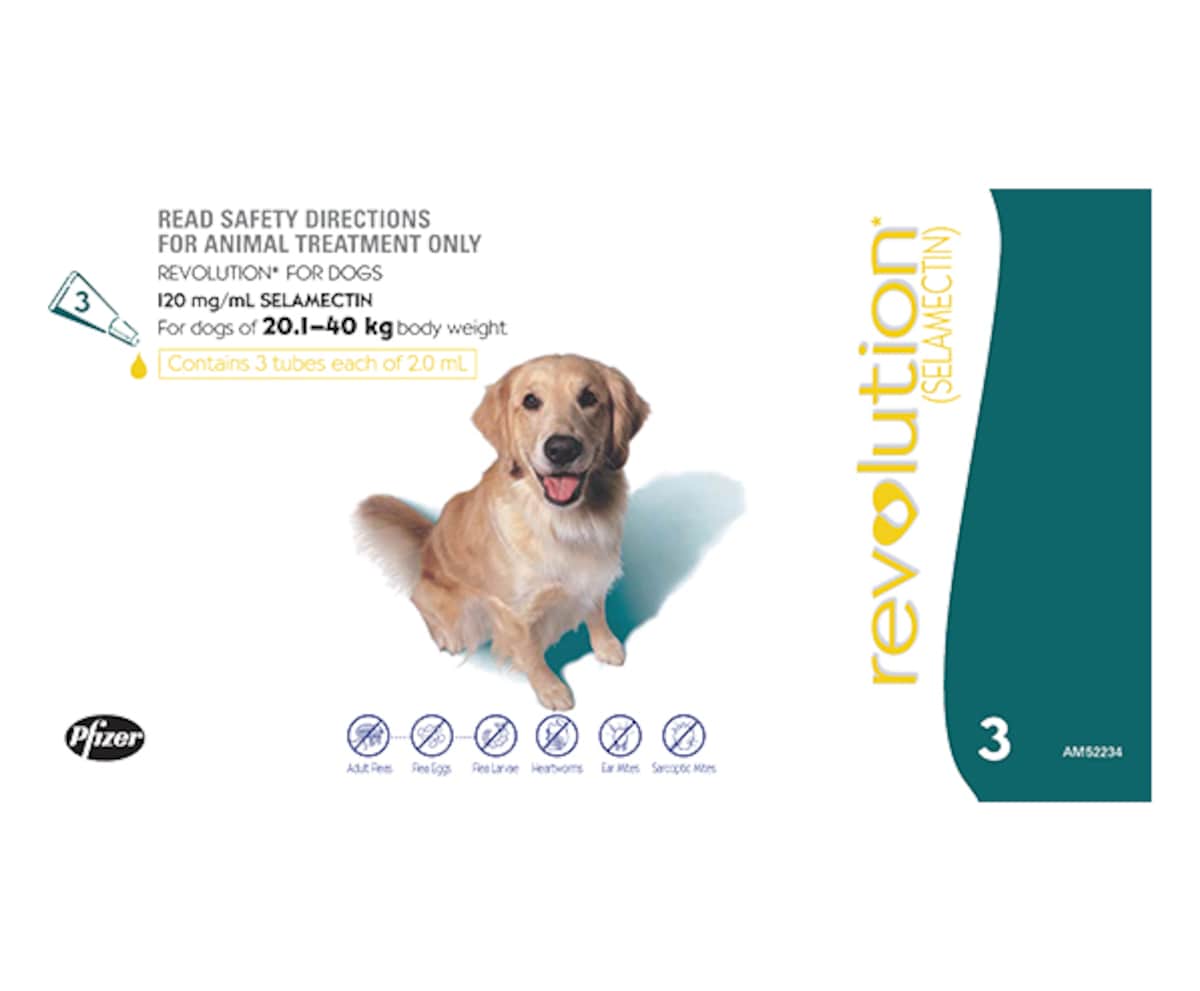 REVOLUTION FOR LARGE DOGS 20-40 KG GREEN 3 DOSE PACK | Healthylife