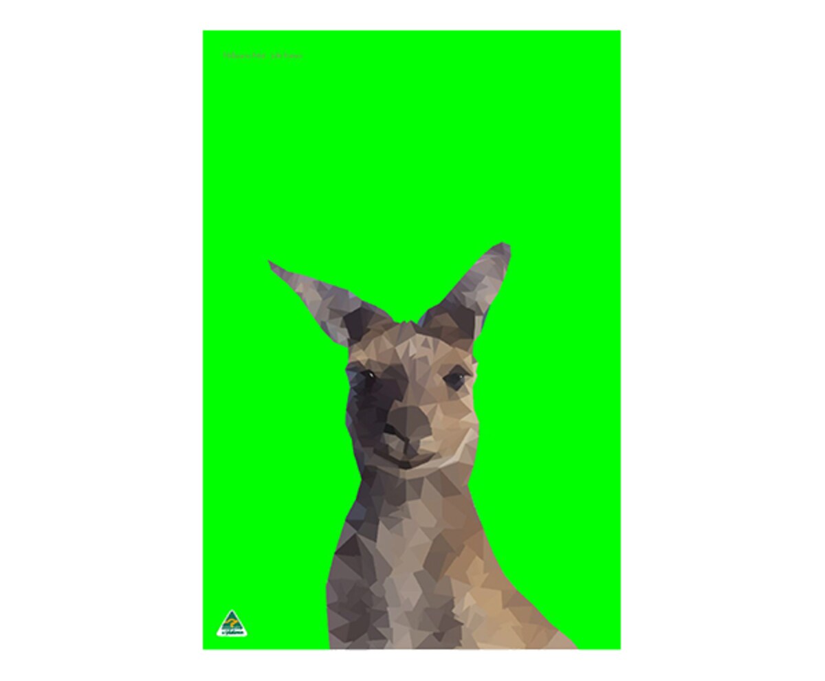 KE Design Tea Towel Kangaroo Green | Healthylife