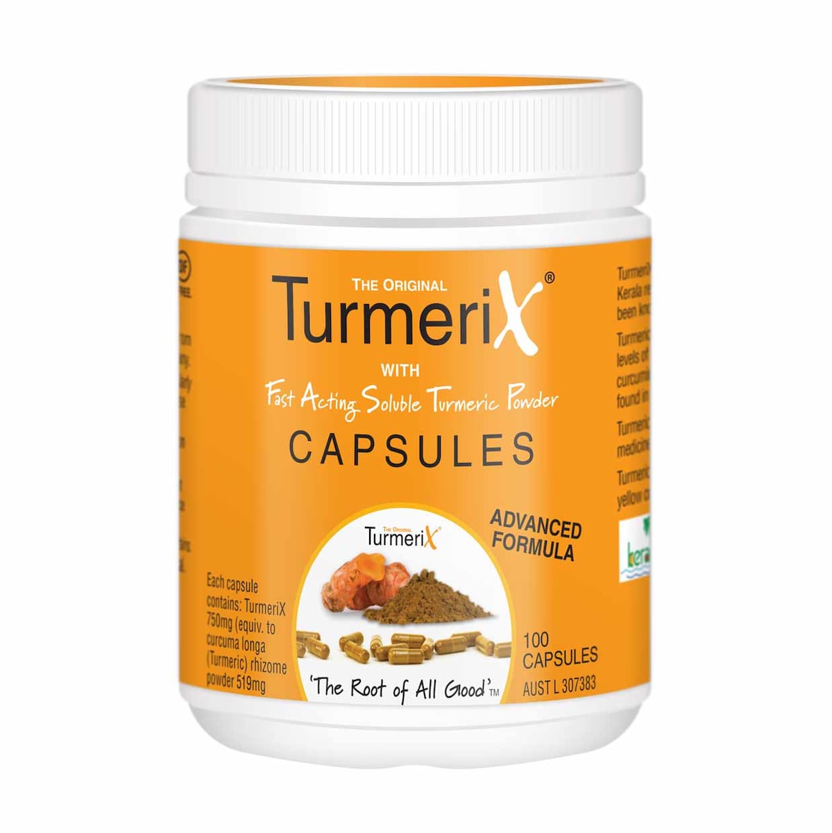 TurmeriX 100 Capsules