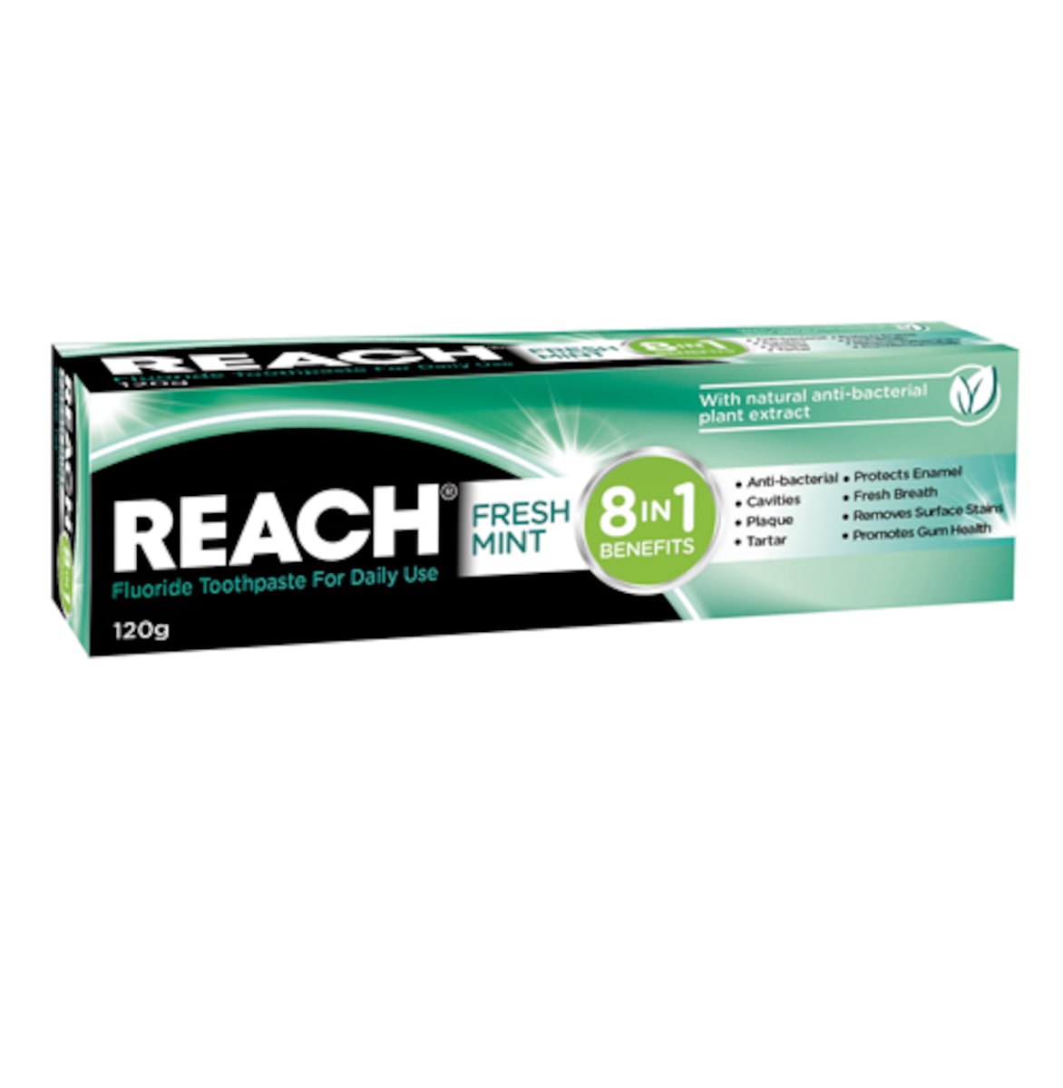 Reach 8 in 1 Fresh Mint Toothpaste 120g | Healthylife