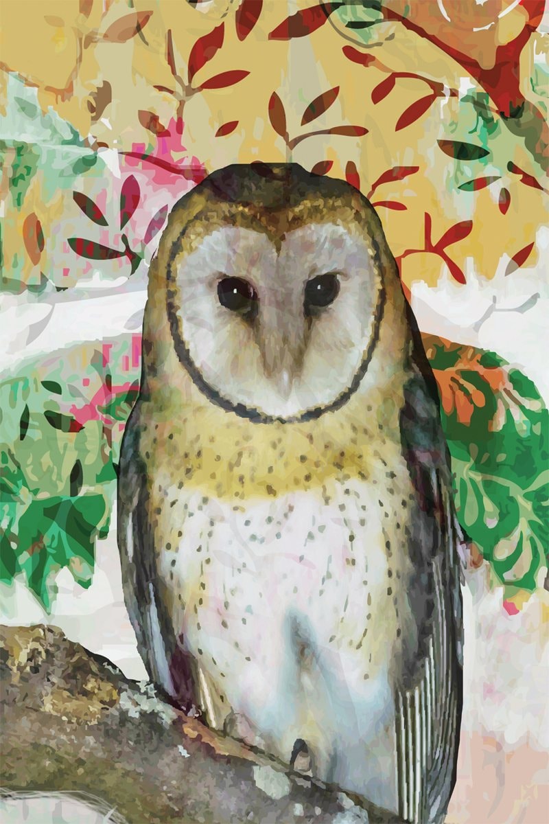 KE Design Tea Towel Barn Owl | Healthylife