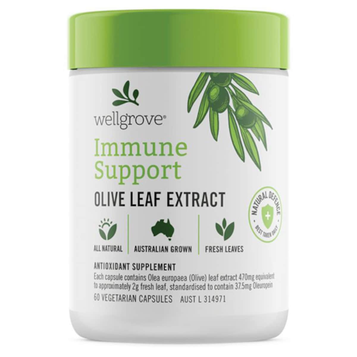 Wellgrove Olive Leaf Extract Immune Support 60 Capsules | Healthylife