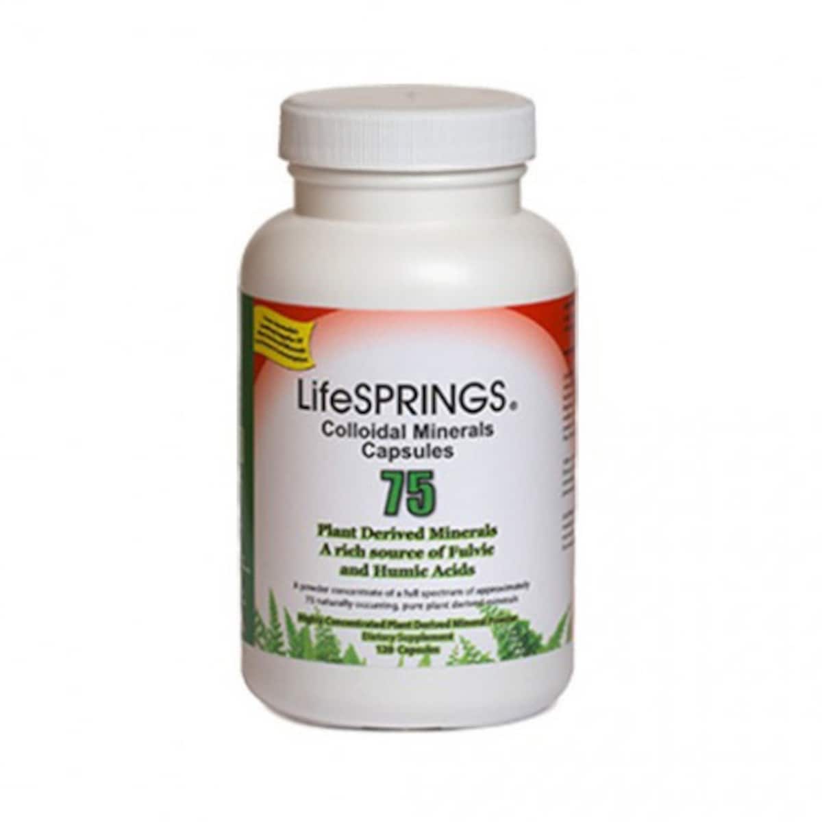 LifeSPRINGS Colloidal Mineral (Plant Derived) 300mg 120 Capsules ...