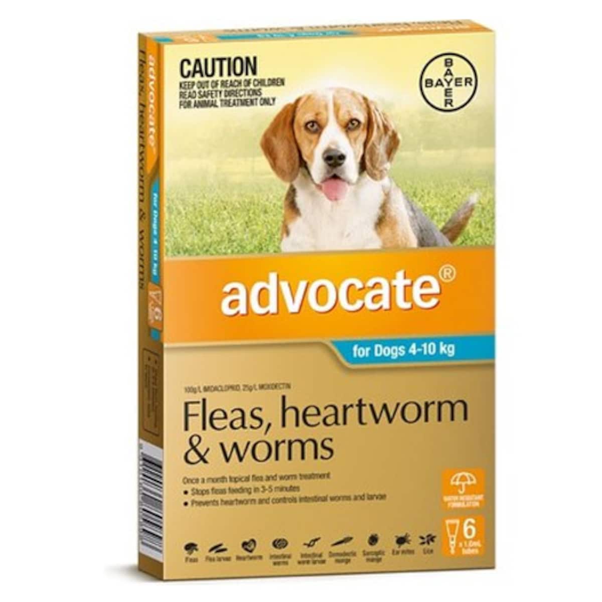 Advocate Medium Dogs 4-10kg Blue 6 Pack | Healthylife