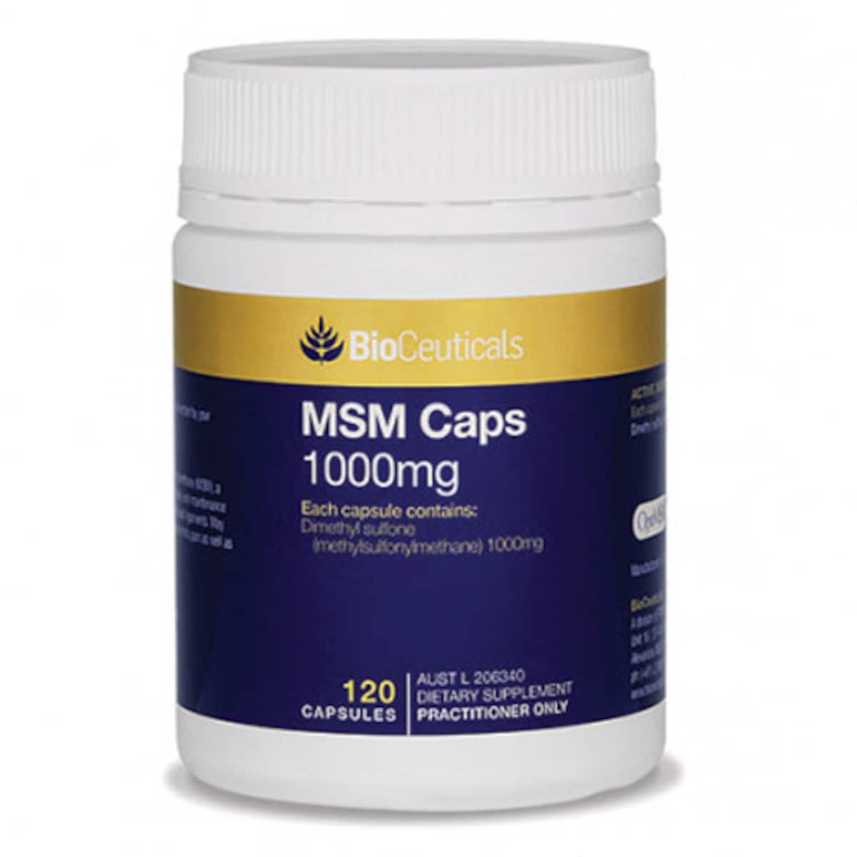 Bioceuticals MSM Caps 1000mg 120 Capsules | Healthylife