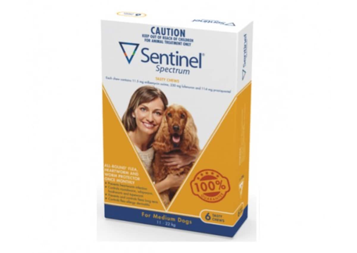 Sentinel Spectrum for Medium Dogs 11-22kg Yellow 6 Tasty Chews ...