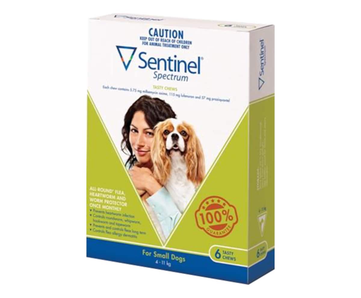 Sentinel Spectrum for Small Dogs 4-11kg Green 6 Tasty Chews | Healthylife
