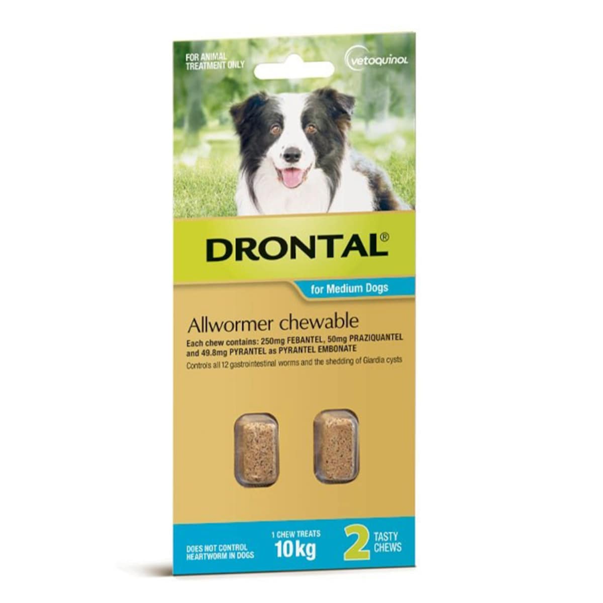 Drontal Allwormer Chewable for Medium Dogs 2 Chews | Healthylife