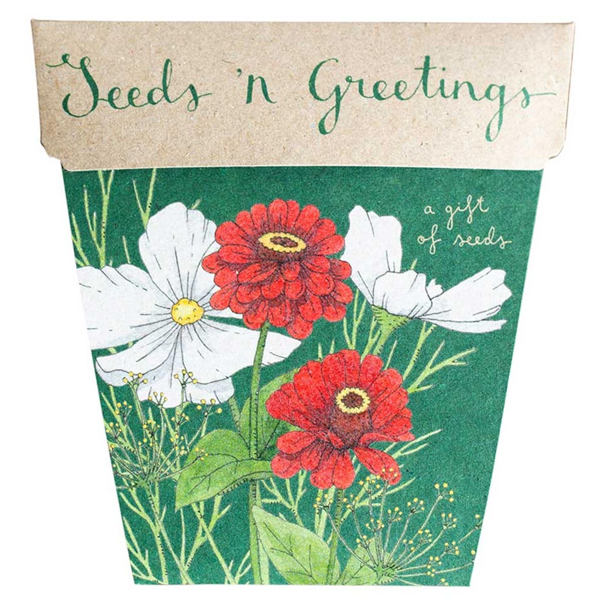 Sow 'n Sow Gift Of Seeds Seeds 'N Greetings | Healthylife