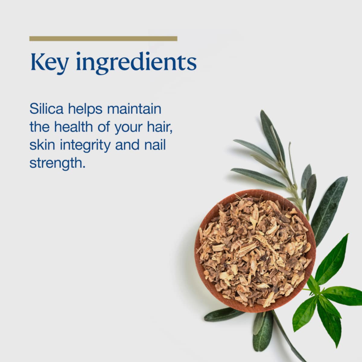 BioCeuticals Silica Liquid 500ml