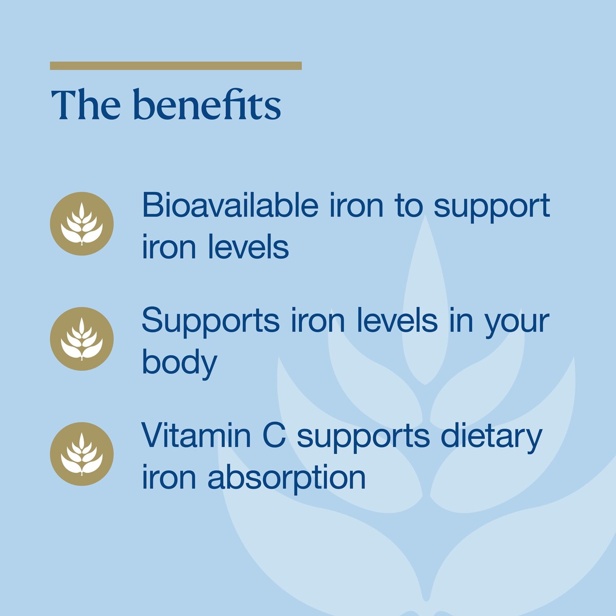 BioCeuticals Iron Sustain 30 Tablets