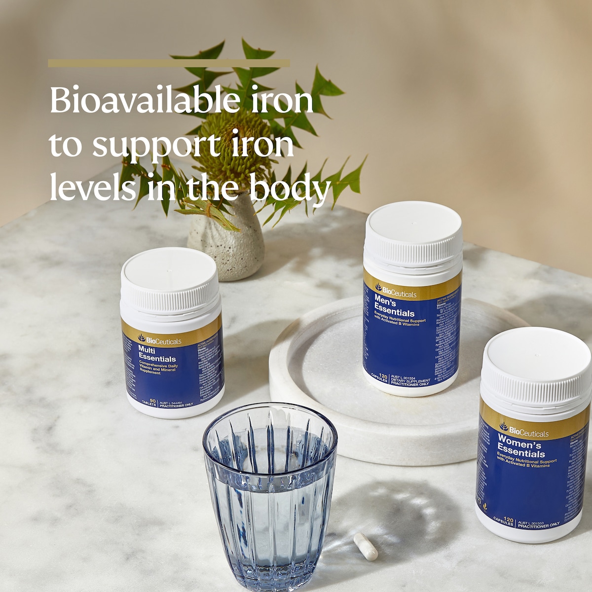 BioCeuticals Iron Sustain 30 Tablets