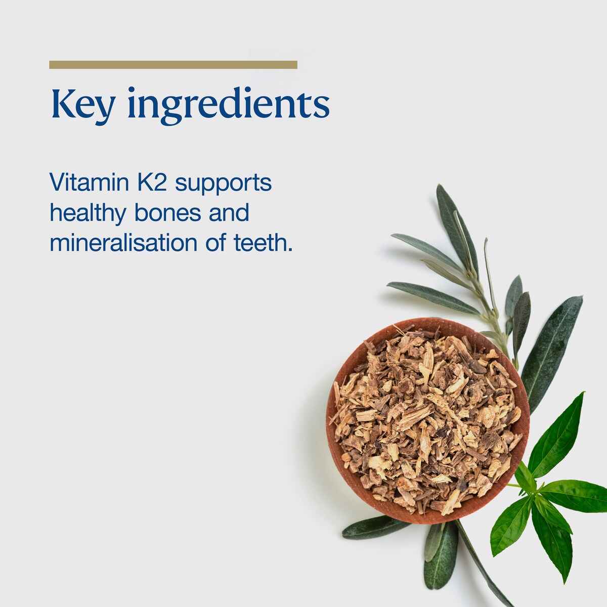 BioCeuticals K2 Capsules 60 Softgel Capsules