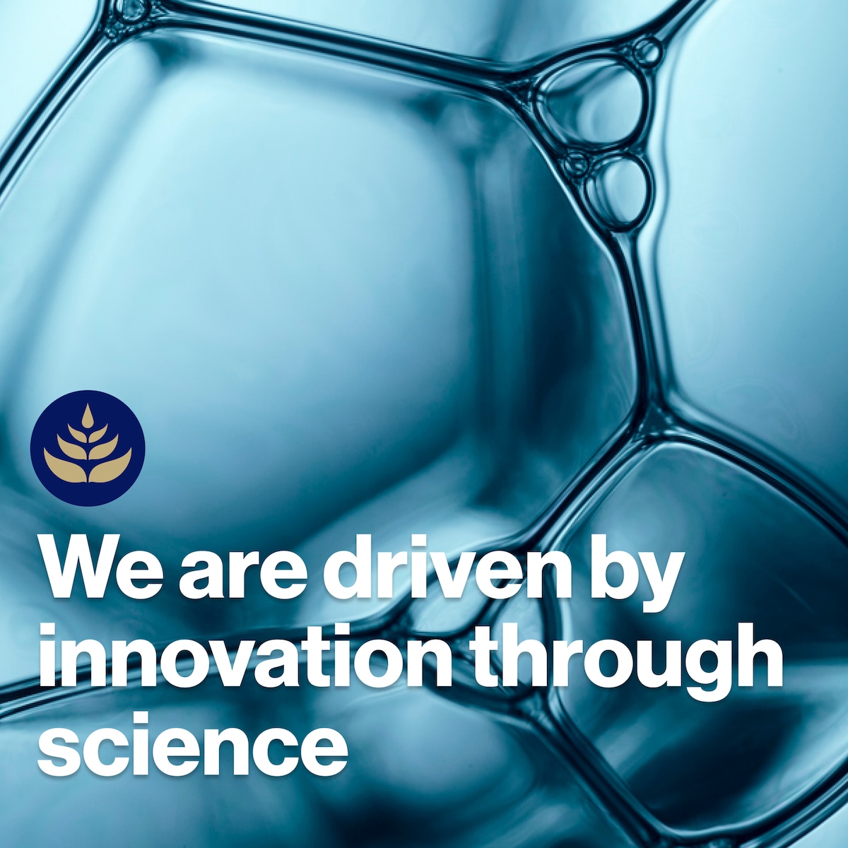 BioCeuticals ArmaForce ImmunoBurst 30 Chewable Burstlet Capsules